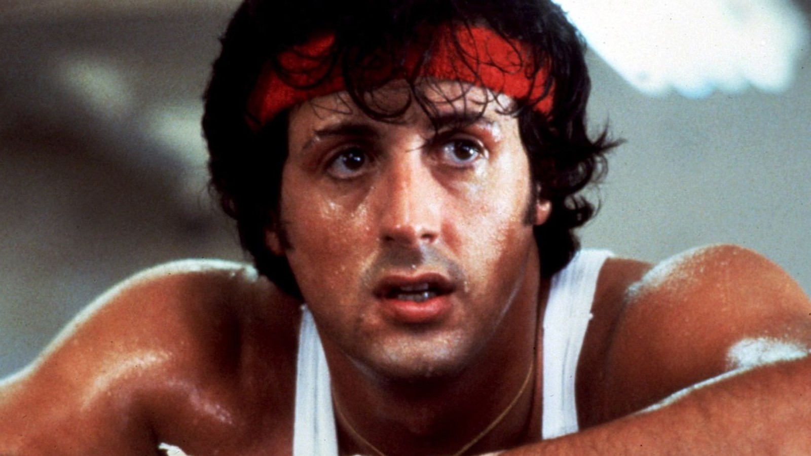 How To Watch Rocky And Creed Movies In Order LaptrinhX News
